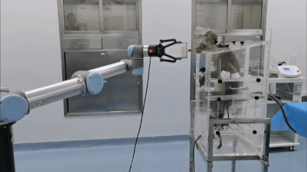 China Brain Chip Programme: combine monkey-robot interaction