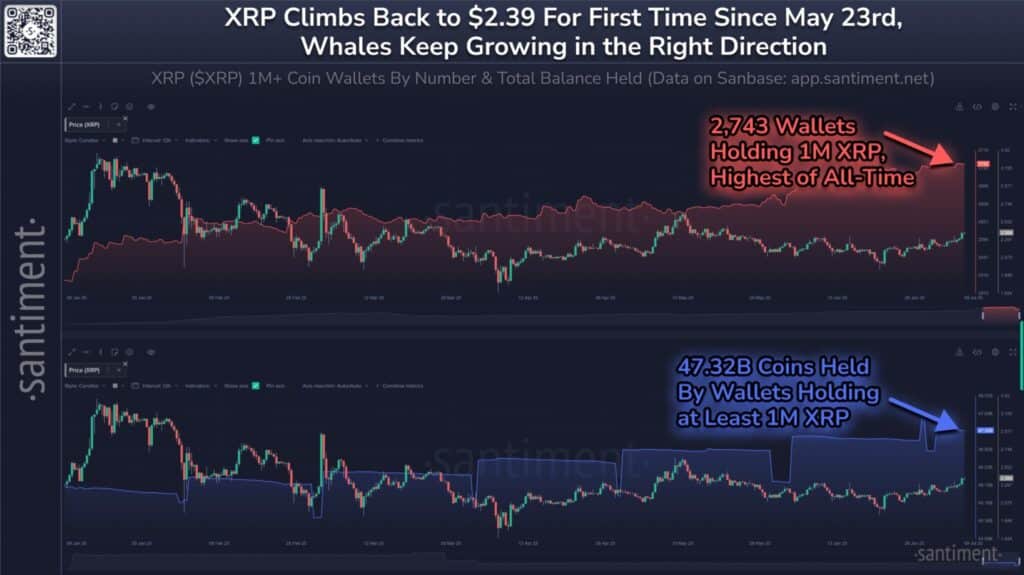 Whale Surge Pushes XRP to 7-Week High: Are We on the Brink of a Breakout? - The Bit Journal