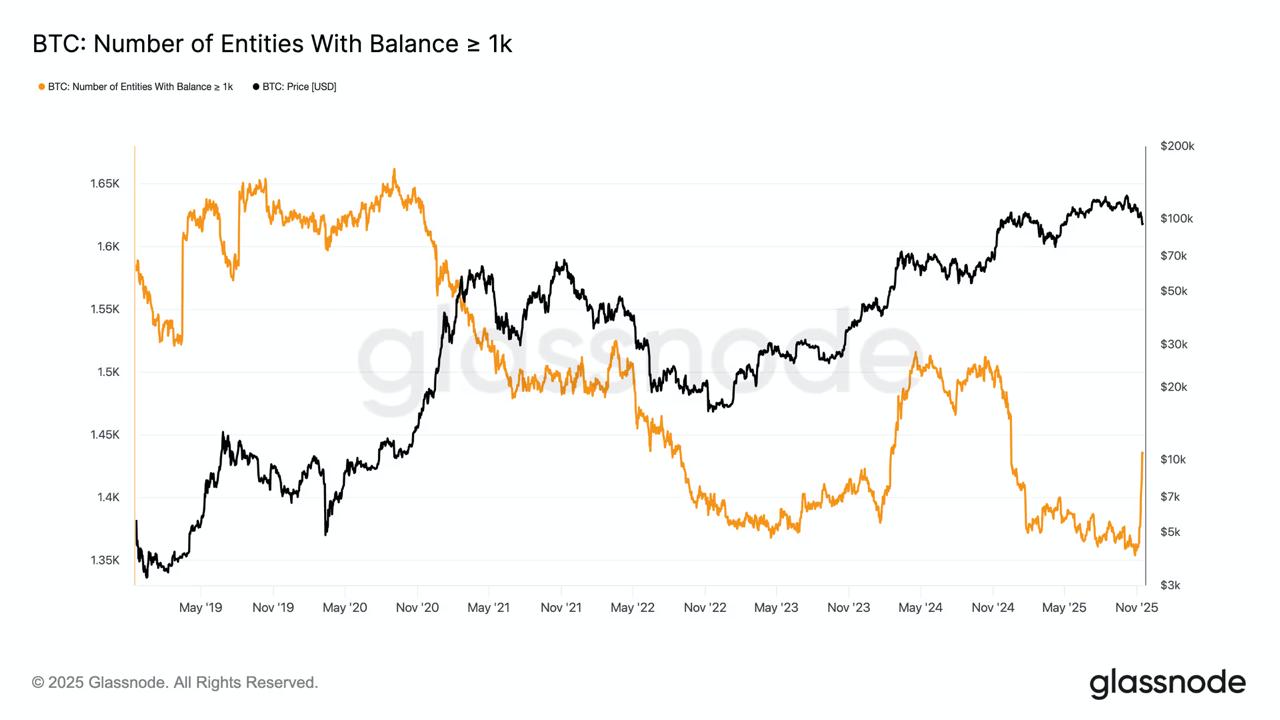 Crypto Whale Activities: Major Transfers and Market Impact